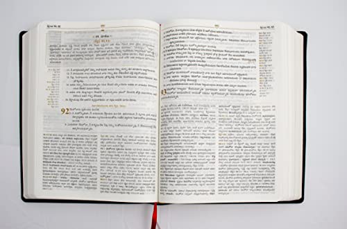 Lifeway Explore The Bible Schedule
